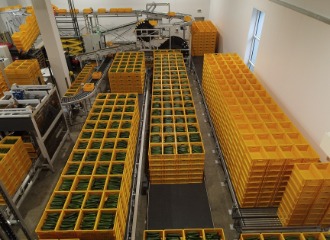 New £5m packhouse built by CambridgeHOK ready to automatically sort ...